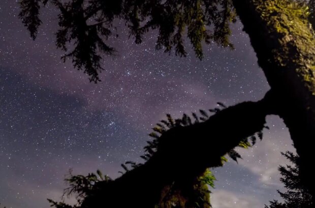 Астрологи назвали три знаки Зодіаку яким значно пощастить Читайте на Ukr Net