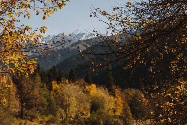 Кому зі знаків зодіаку пощастить цими вихідними 14 15 жовтня Читайте на Ukr Net